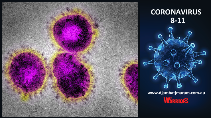 COVID-19 or coronavirus? Are there two diseases? » Why Warriors